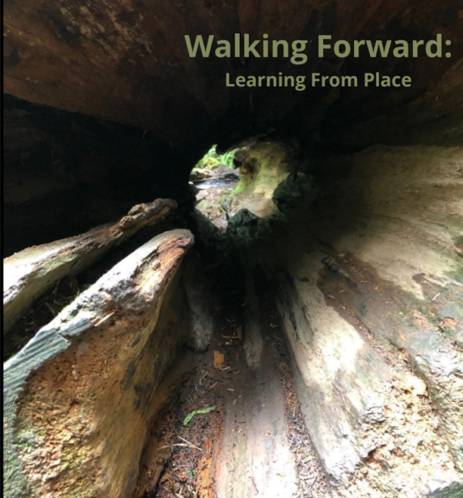 Outdoor Learning – Learn71